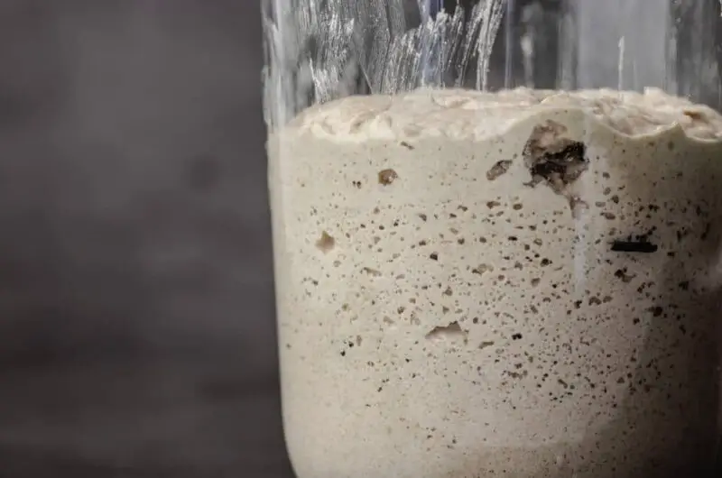 Como fazer fermento natural sem glúten - Criar Comer Crescer