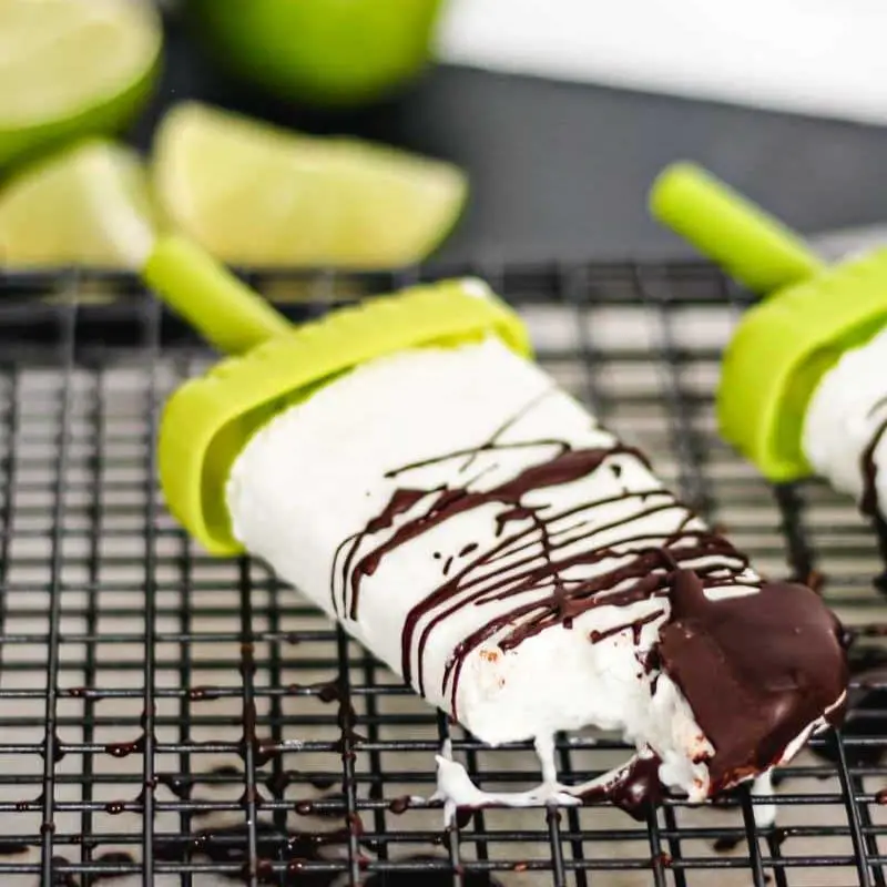 Gelado de coco e lima (sem leite, gluten e açúcar) - Criar Comer Crescer