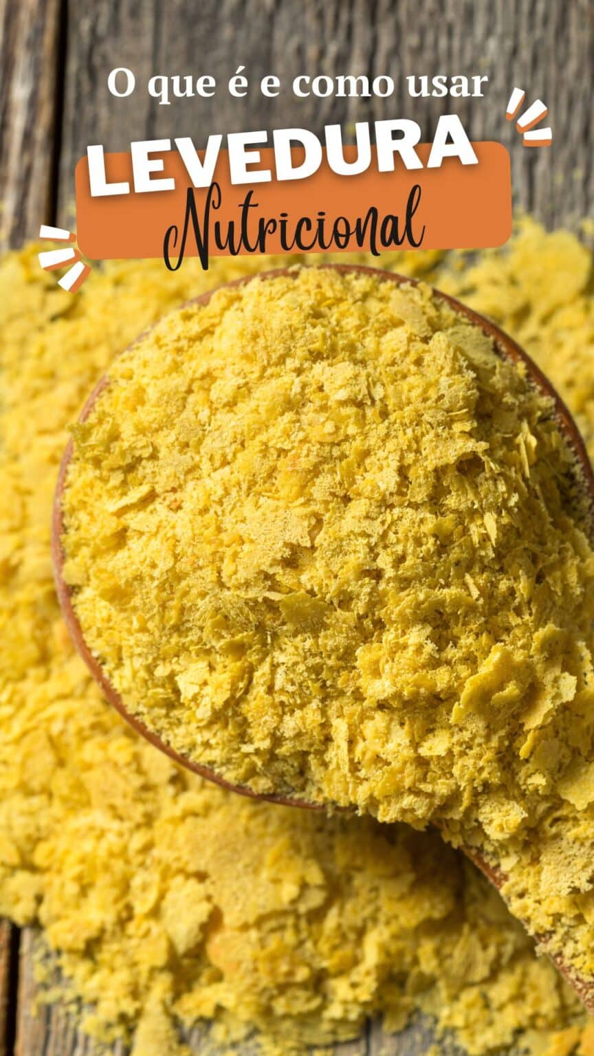 O Que Significa Levedura - FDPLEARN