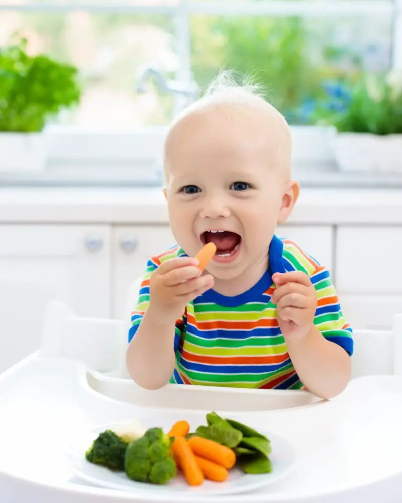 25 receitas sem açúcar para bebés – saudáveis e deliciosas - Criar ...